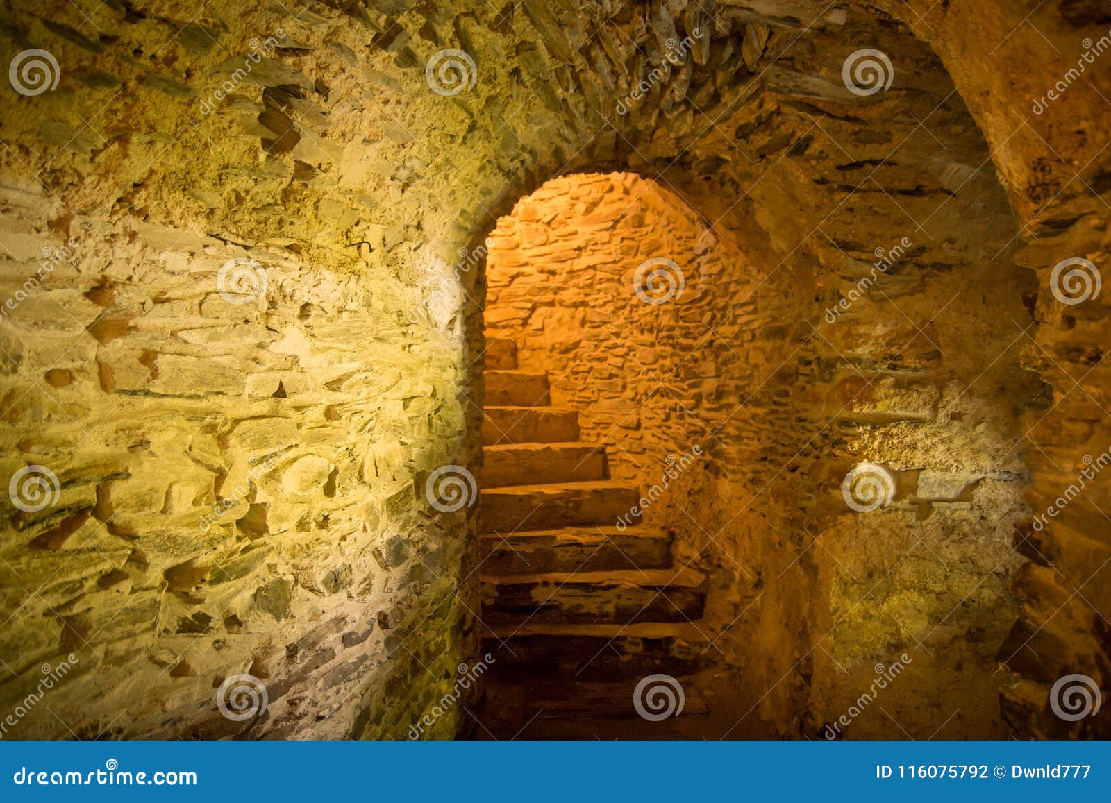 Stairs in medieval cellar stock photo. Image of inside - 116075792