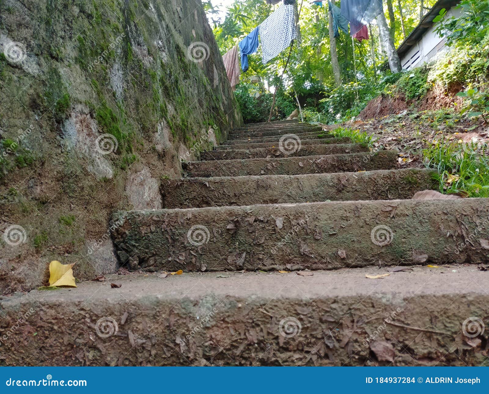 Stairs on a Mountain in an Indian Keralavillage Stock Photo - Image of ...