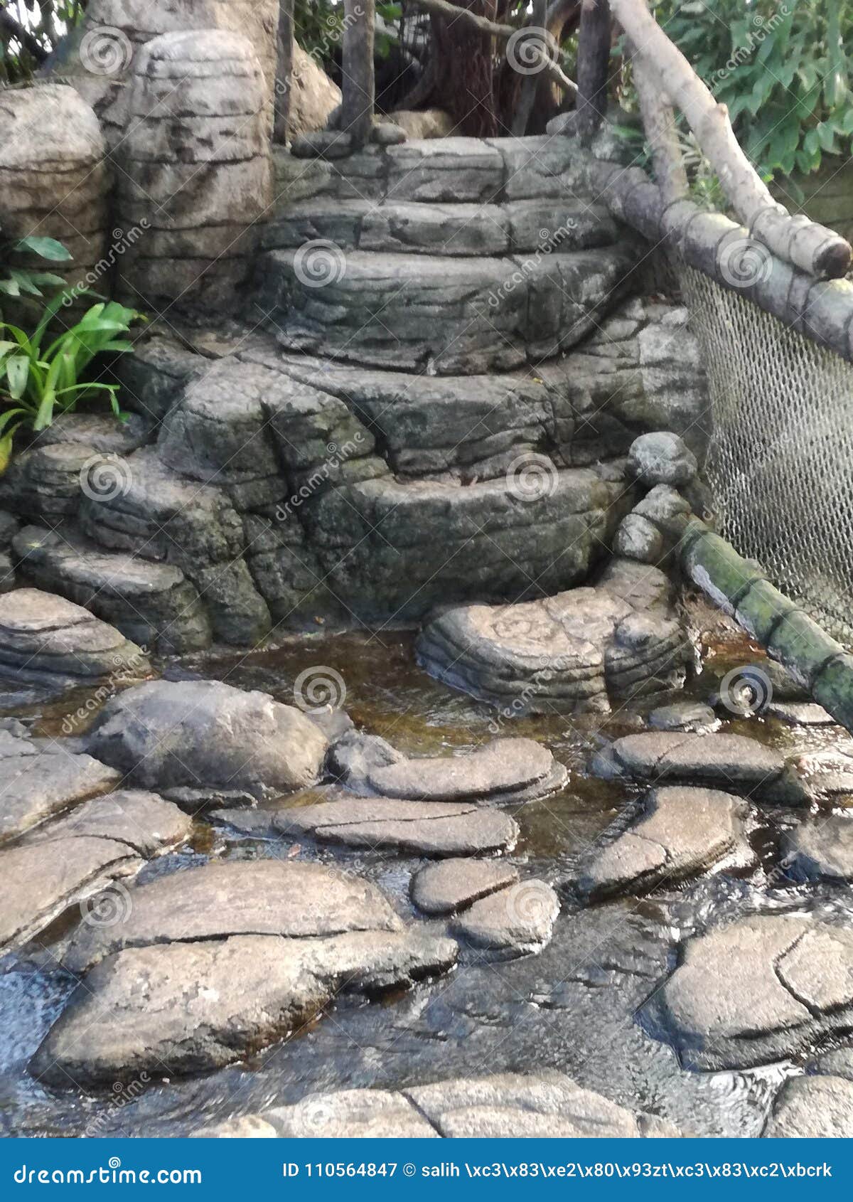 Stairs in nature stock image. Image of beauty, wildlife - 110564847