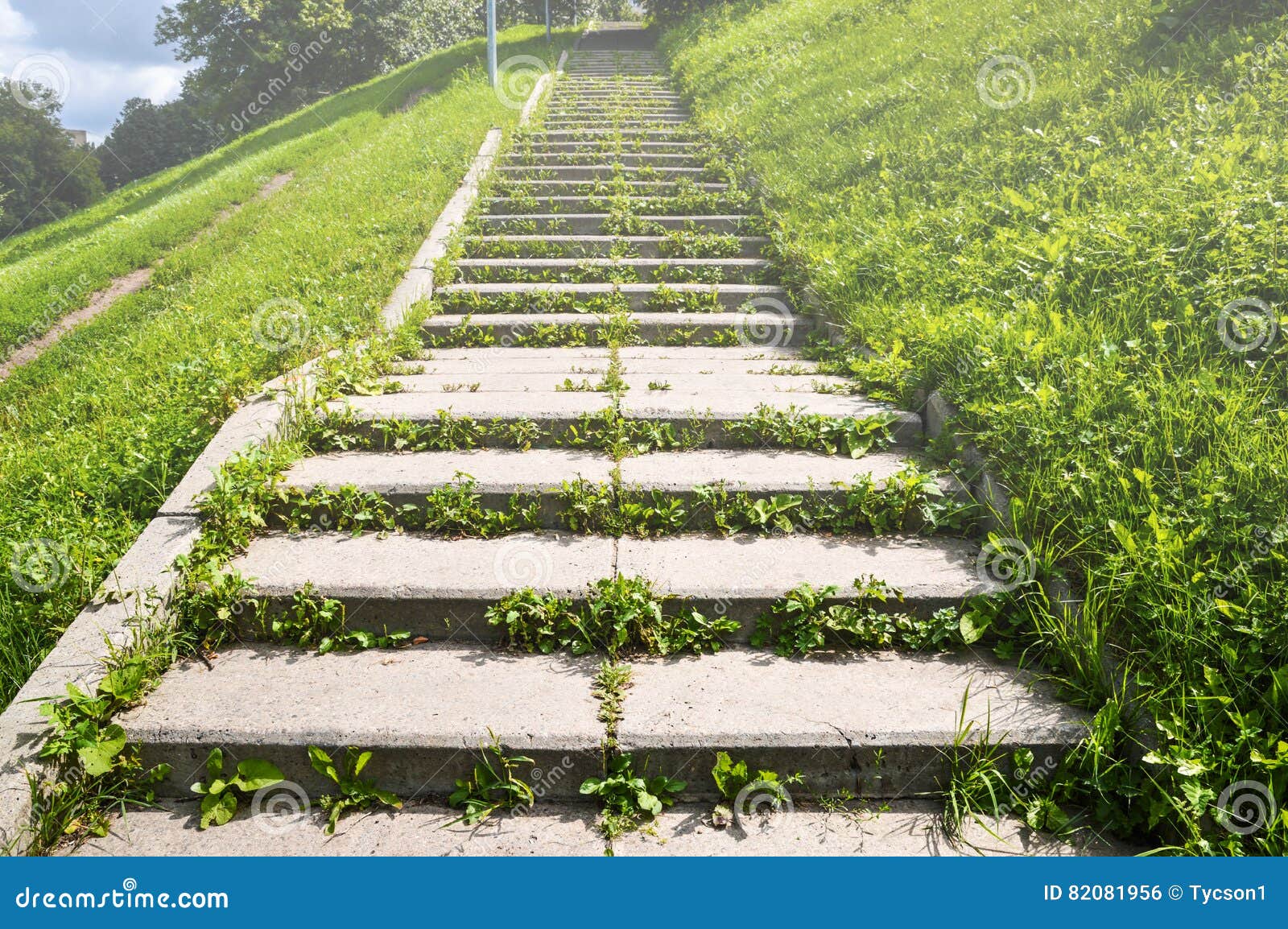 Stairs stock photo. Image of overacst, blooming, nature - 82081956