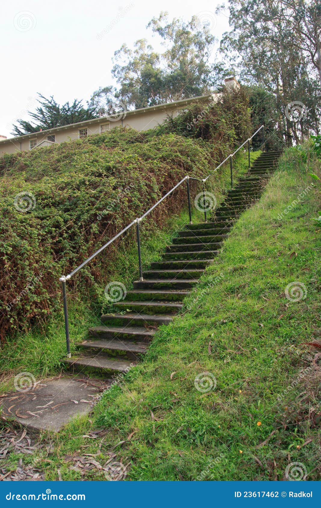 Stairs in a park stock photo. Image of forest, construction - 23617462