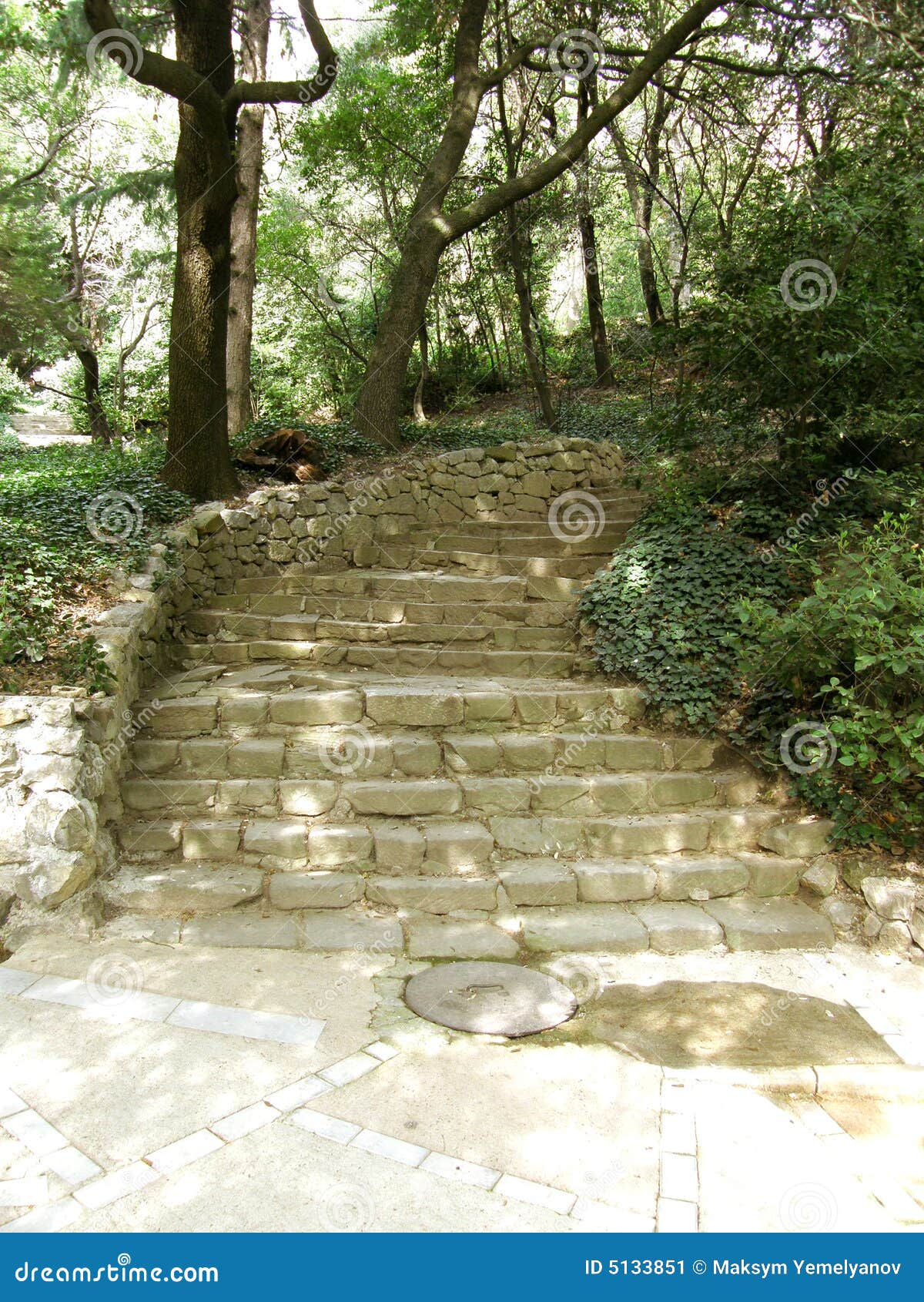 Stairs in park stock image. Image of steps, park, rural - 5133851