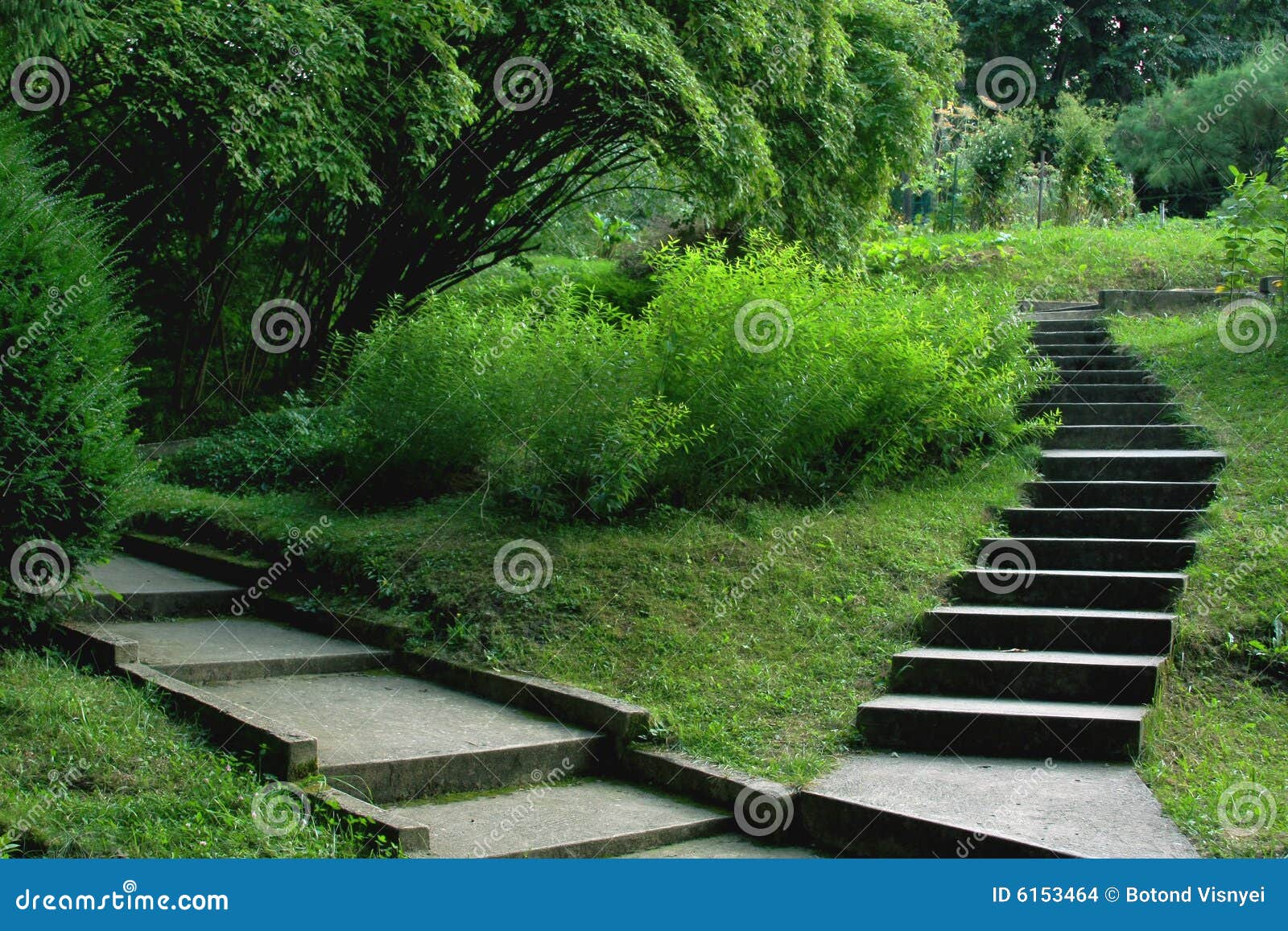 Stairs in the park stock photo. Image of cement, journey - 6153464