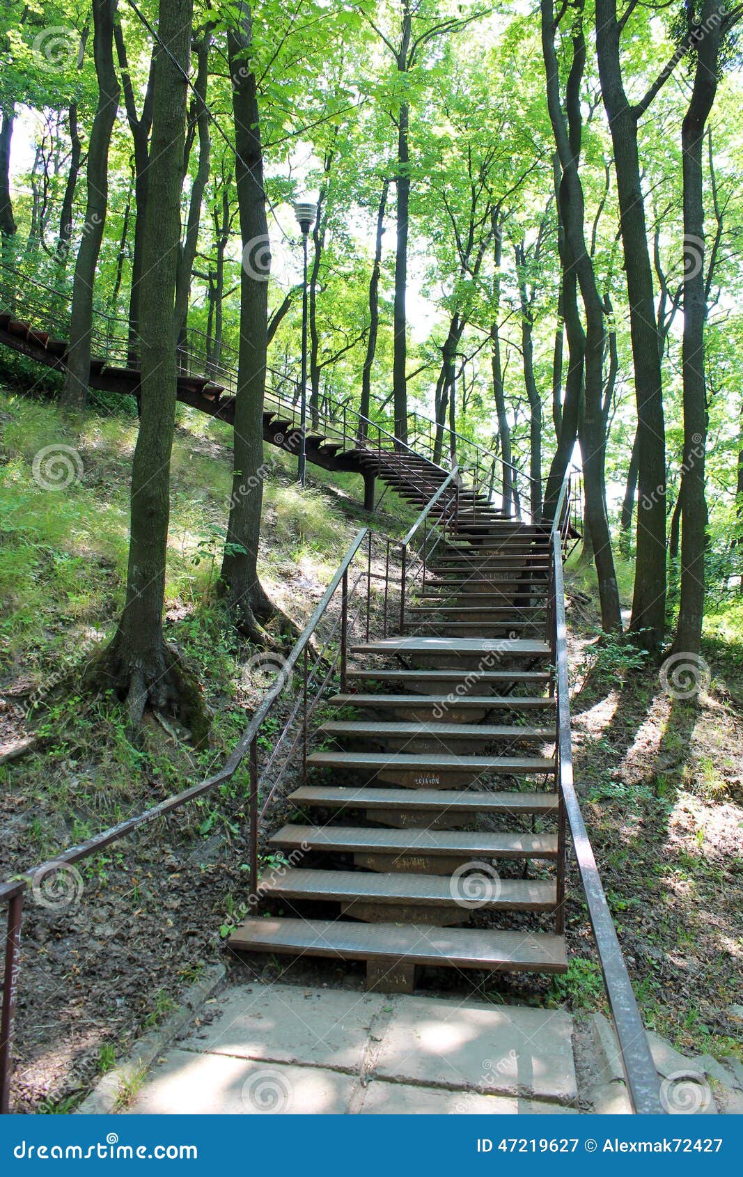 Stairs in the Park with Big Trees Stock Image - Image of exterior, home ...