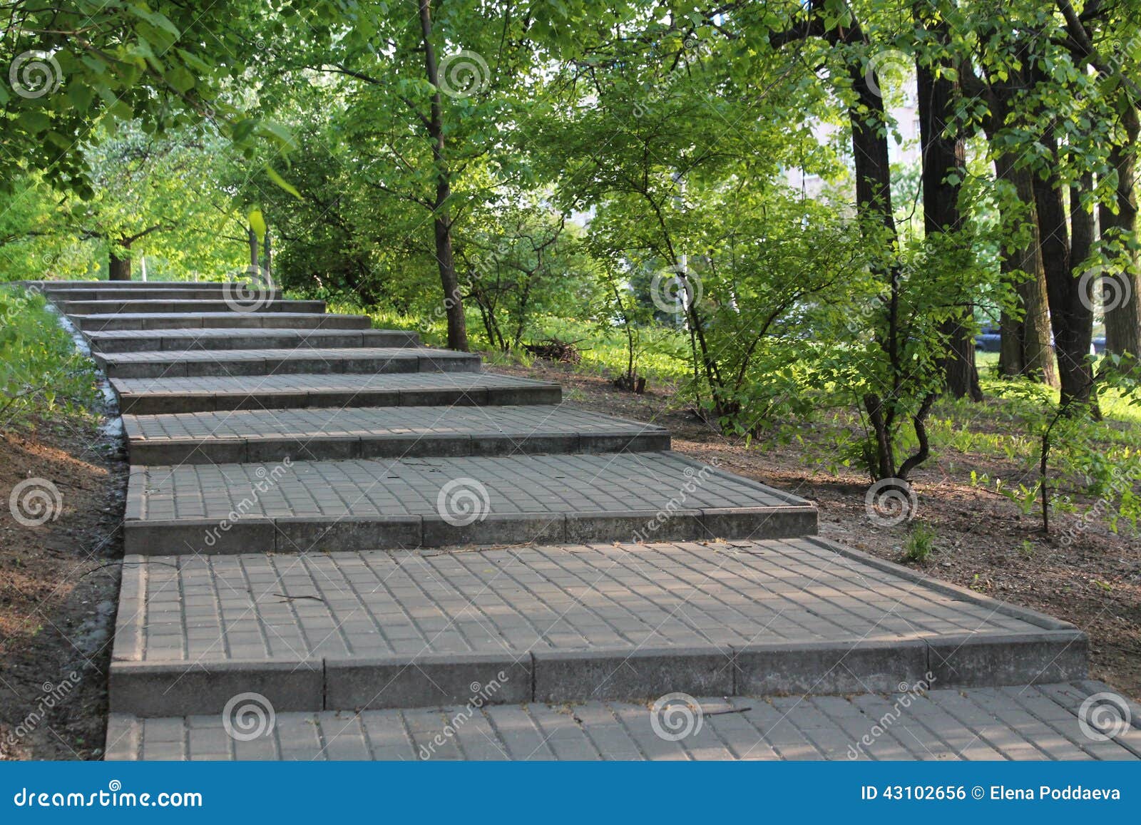 Stairs in the Park stock photo. Image of path, track - 43102656