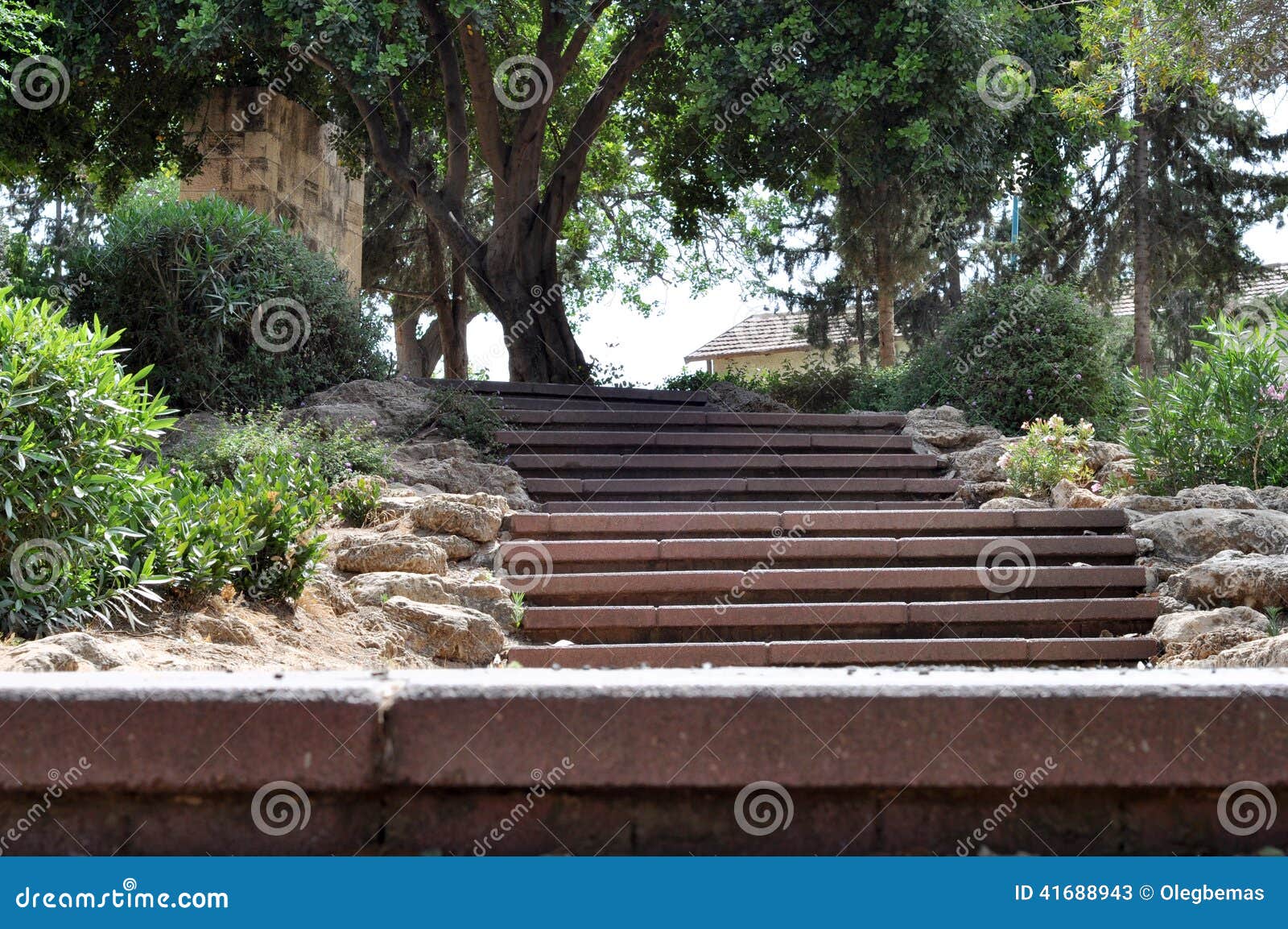 Stairs in the Park stock image. Image of stone, closeup - 41688943