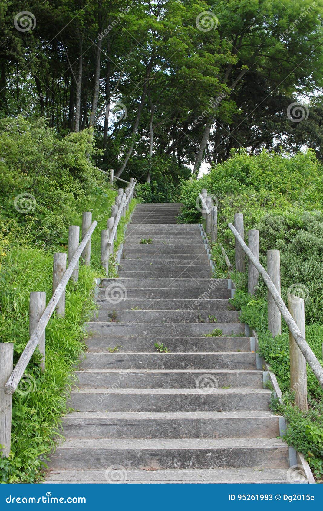 Stairs in the park stock image. Image of garden, park - 95261983