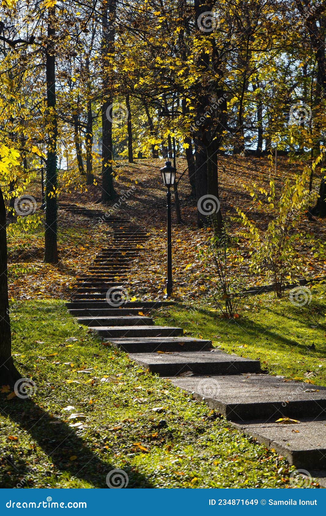 Stairs. Stairs in a Park during the Fall. Stock Image - Image of green ...
