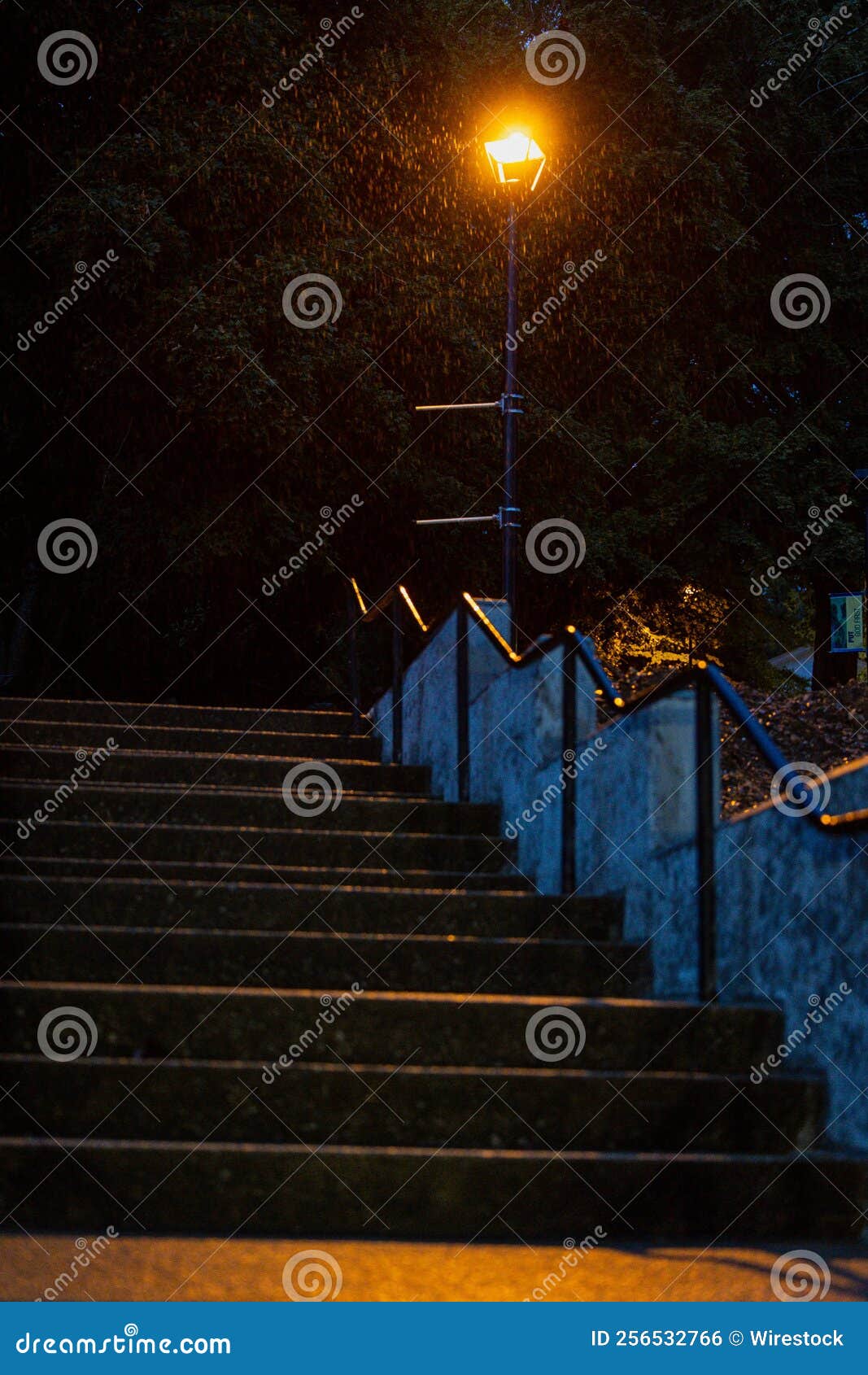 Stairs on the Park during Nighttime Stock Photo - Image of nature ...