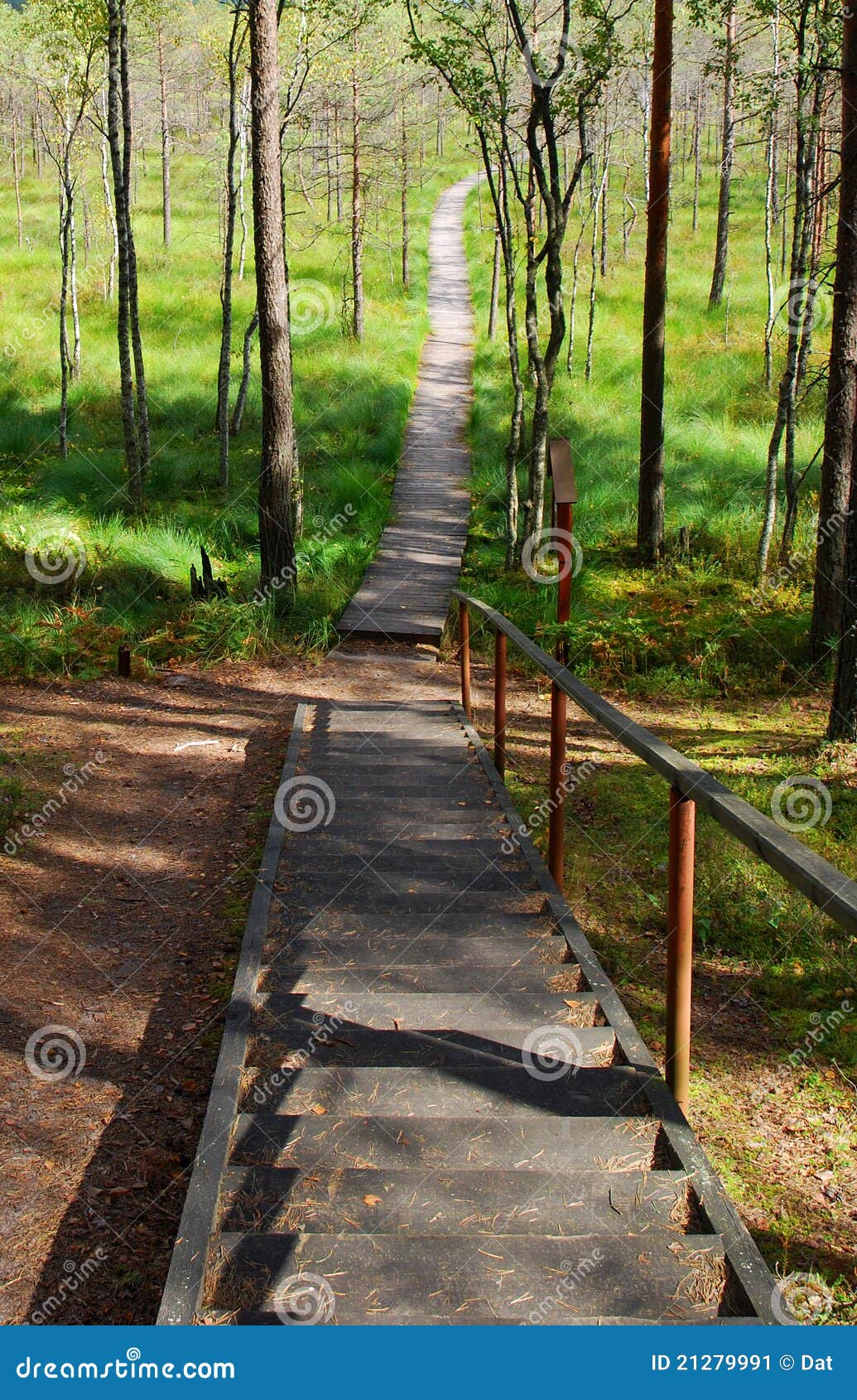 Stairs and pathway stock image. Image of clear, exercise - 21279991