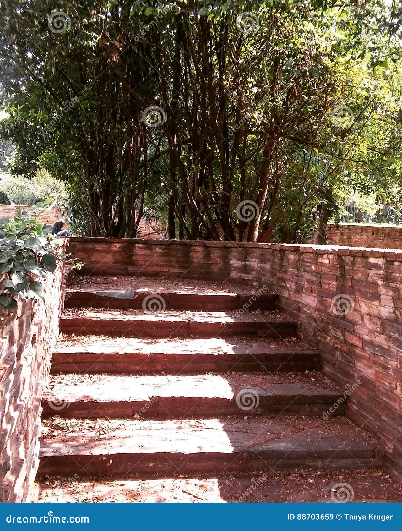 Stairs stock image. Image of gardens, shot, tiled, stairs - 88703659