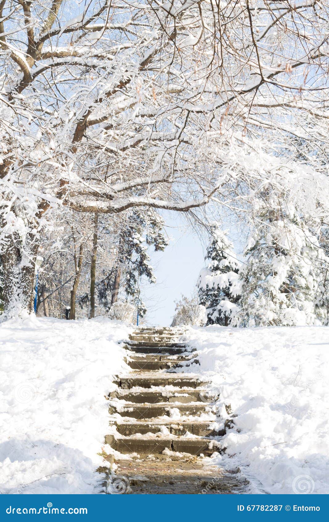 Stairs in the snow stock image. Image of frost, park - 67782287