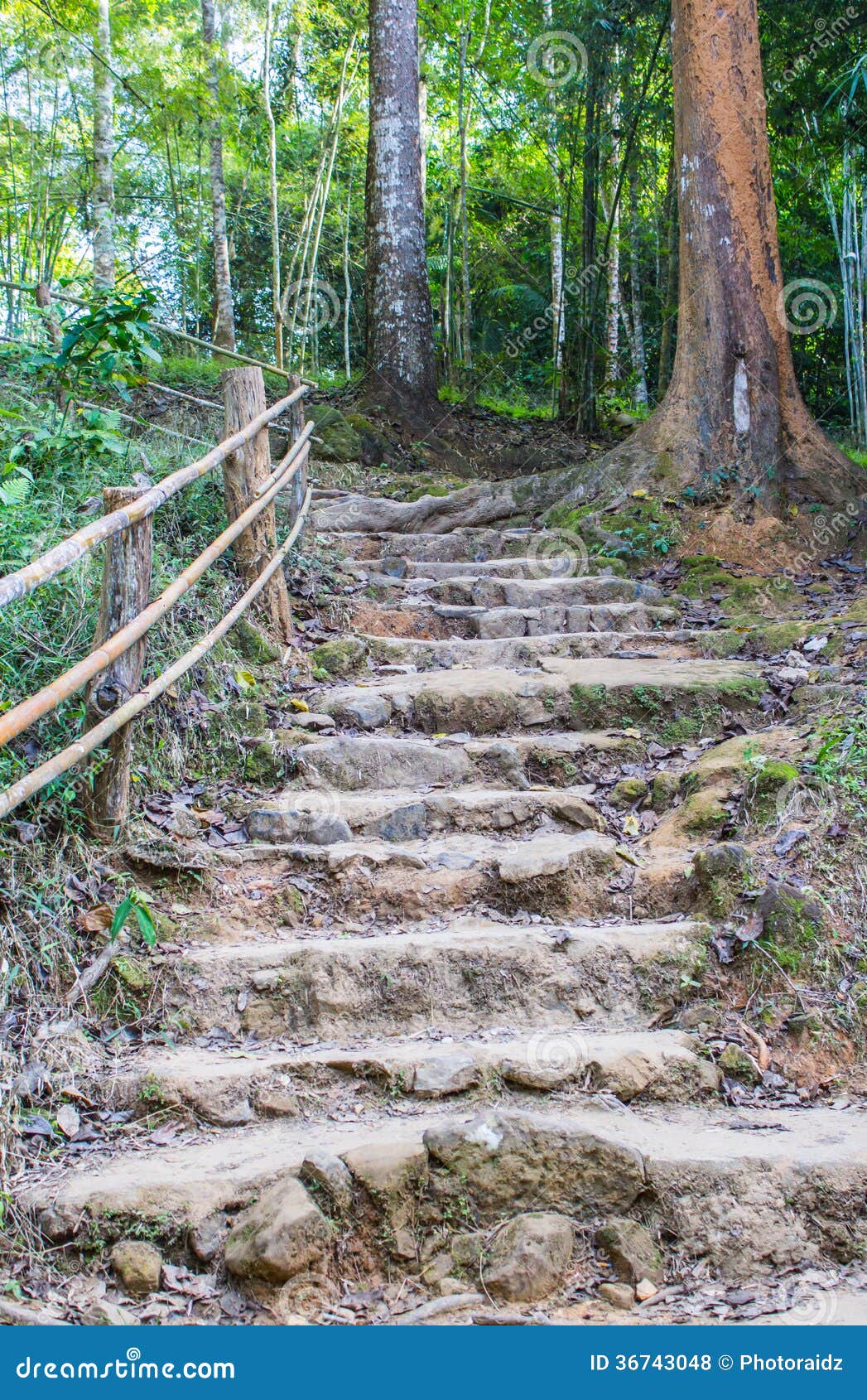 Stairs soil in park stock photo. Image of entrance, ascending - 36743048