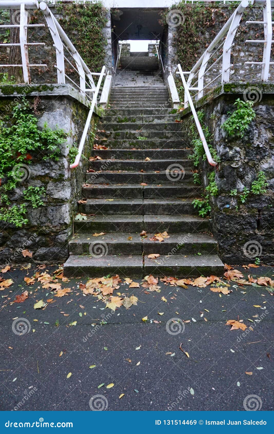 The Stairs and Steps Up and Down Stock Image - Image of steps, outdoors ...