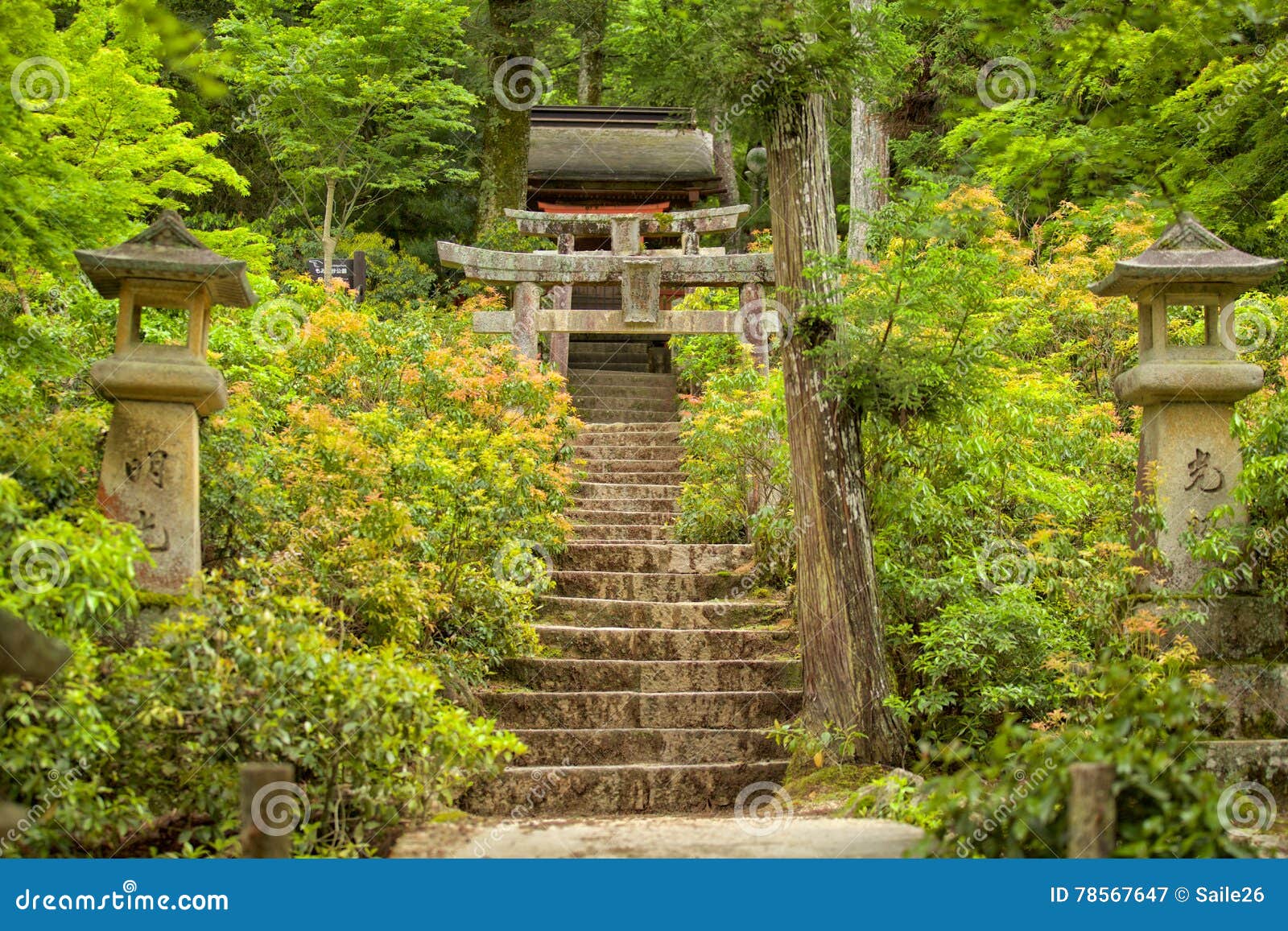 Stairs stock image. Image of natural, park, japan, stairs - 78567647