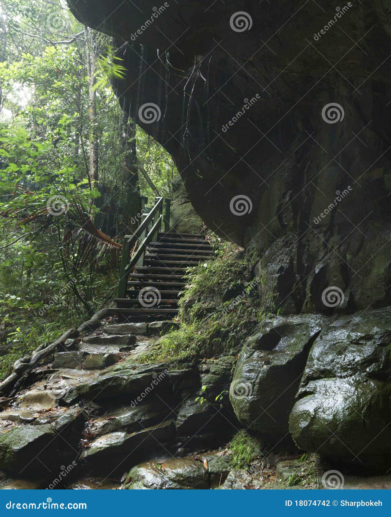 Stairs to a cave stock photo. Image of sunshine, vegetation - 18074742