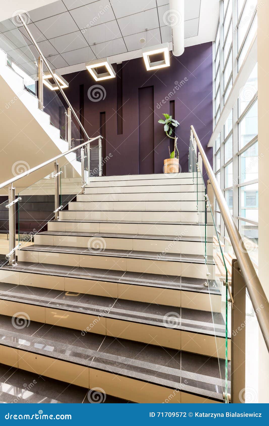 Stairs to the knowledge stock photo. Image of interior - 71709572