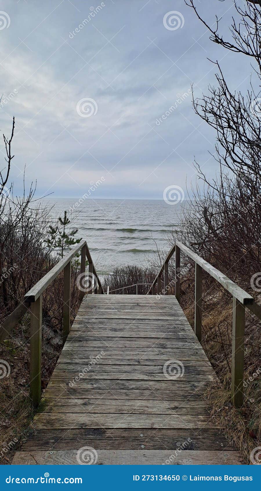Stairs To the Sea Beach, Seaside Stock Photo - Image of wooden, horizon ...