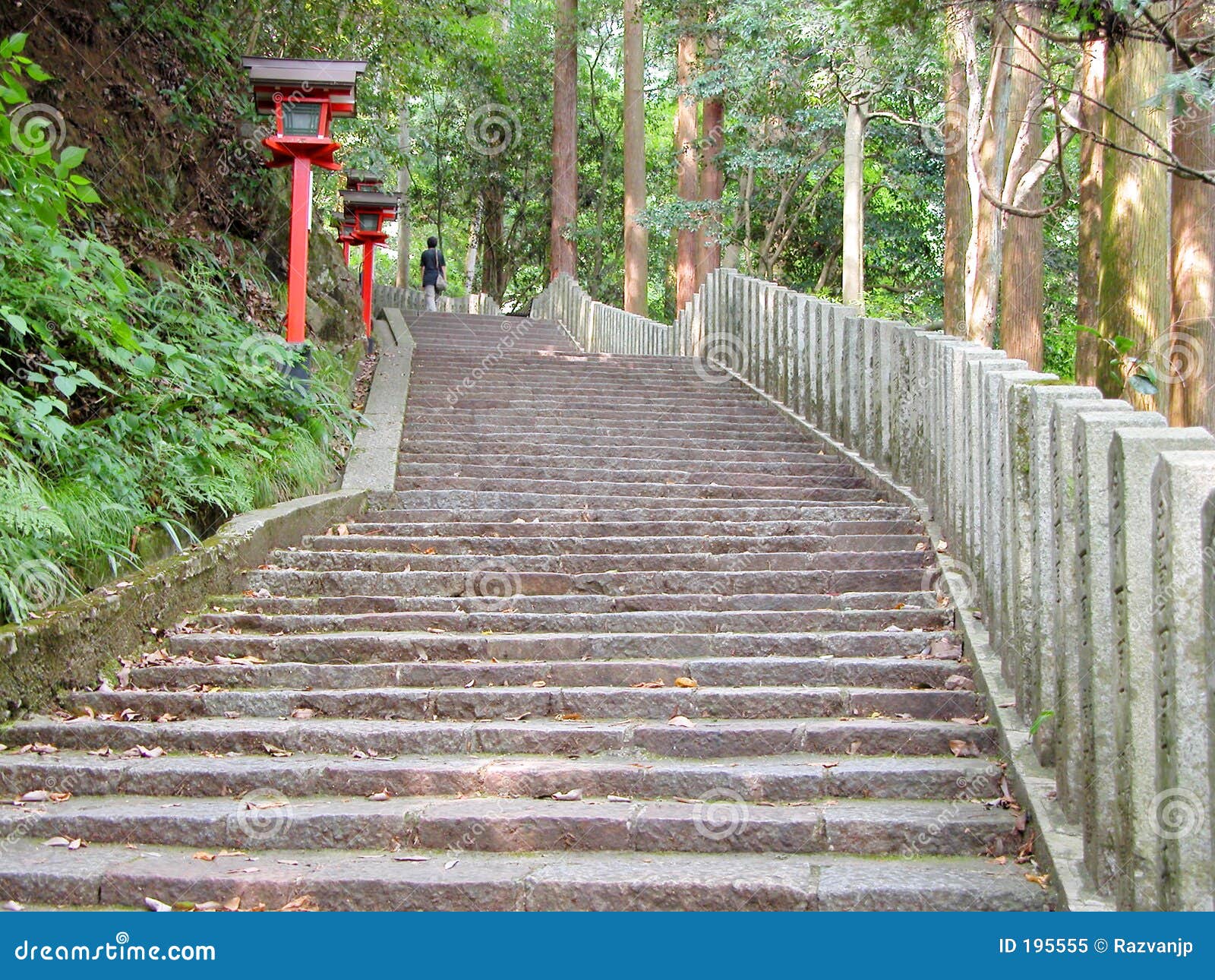 Stairs To The Temple Picture. Image: 195555