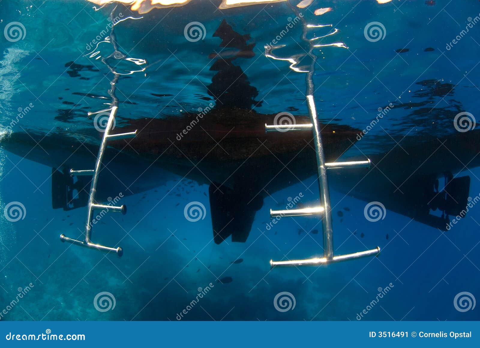 Stairs underwater stock image. Image of scuba, tropical - 3516491