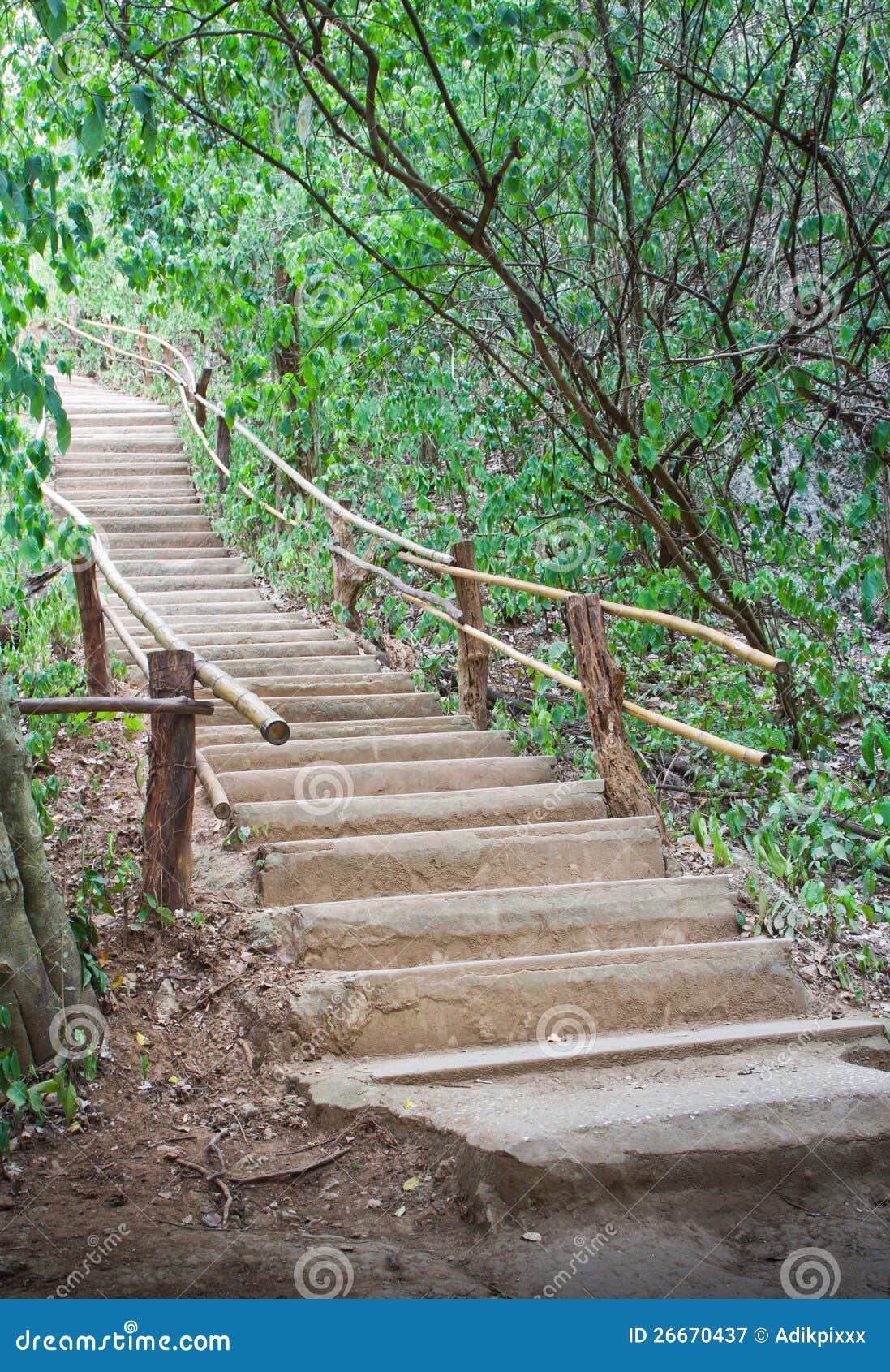 Stairs up the hill. stock image. Image of quiet, green - 26670437