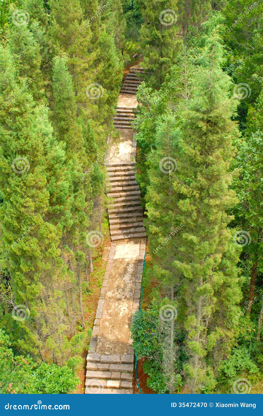 Stairs Up The Hill Stock Photo - Image: 35472470