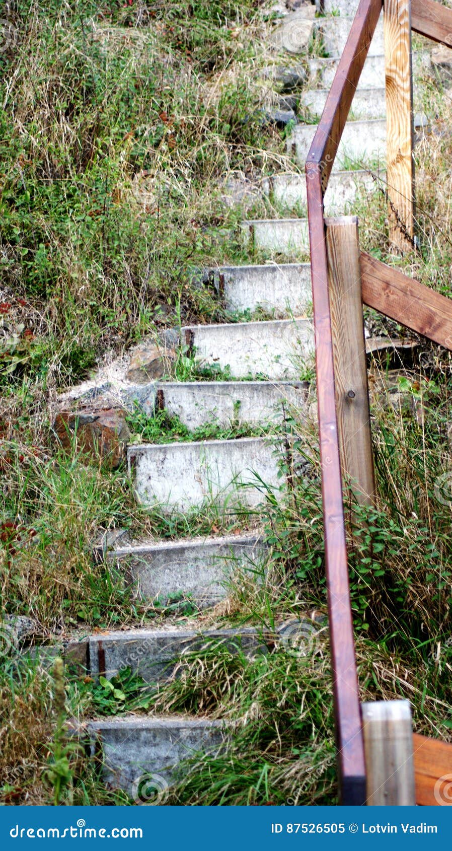 Stairs stock image. Image of wooden, beautiful, nature - 87526505