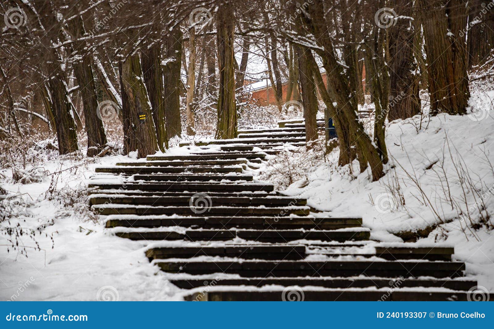 Stairs in the Winter stock image. Image of krakow, steps - 240193307