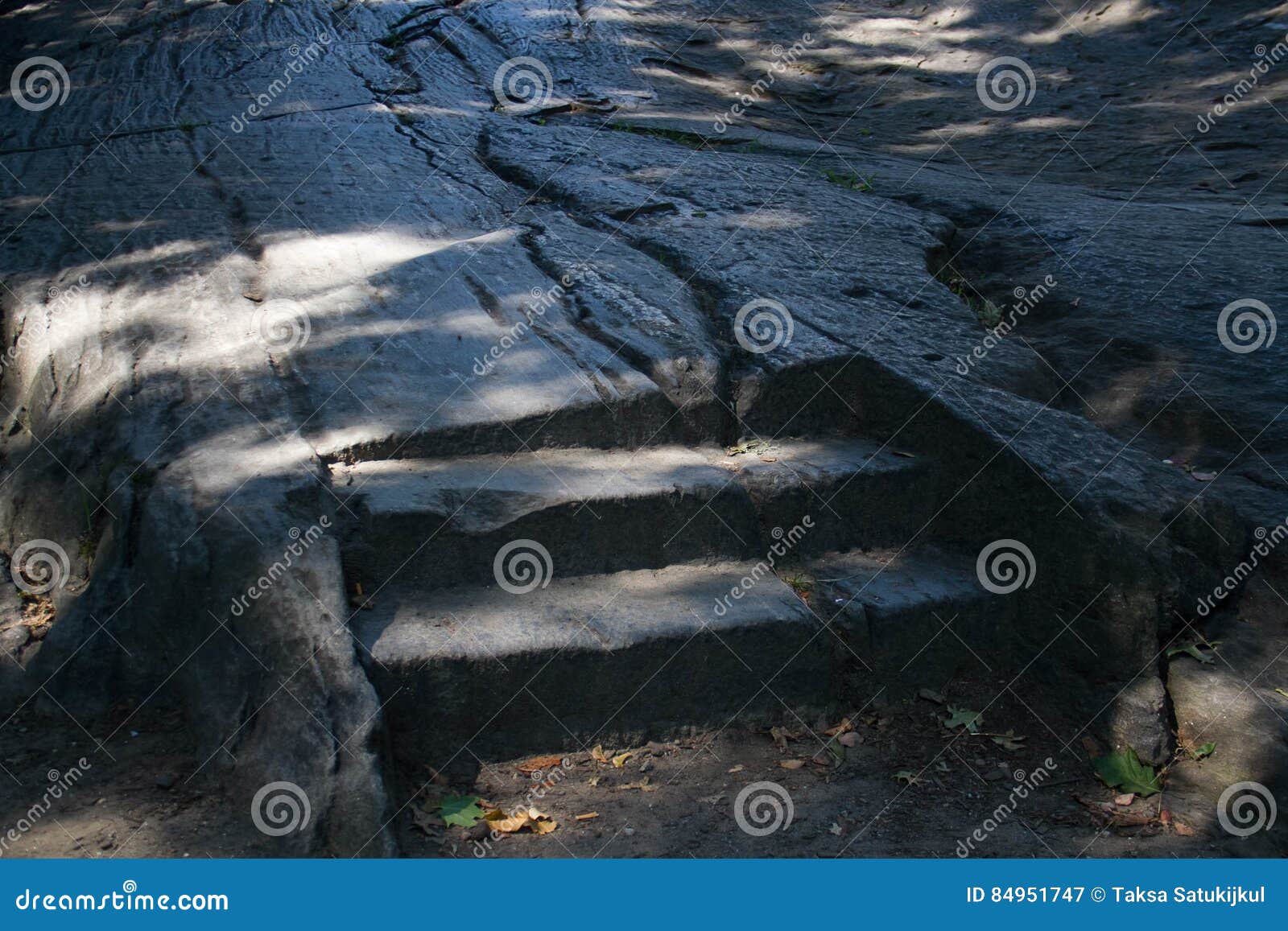 Stairs in the Wood Under the Shade Stock Image - Image of shade, nature ...