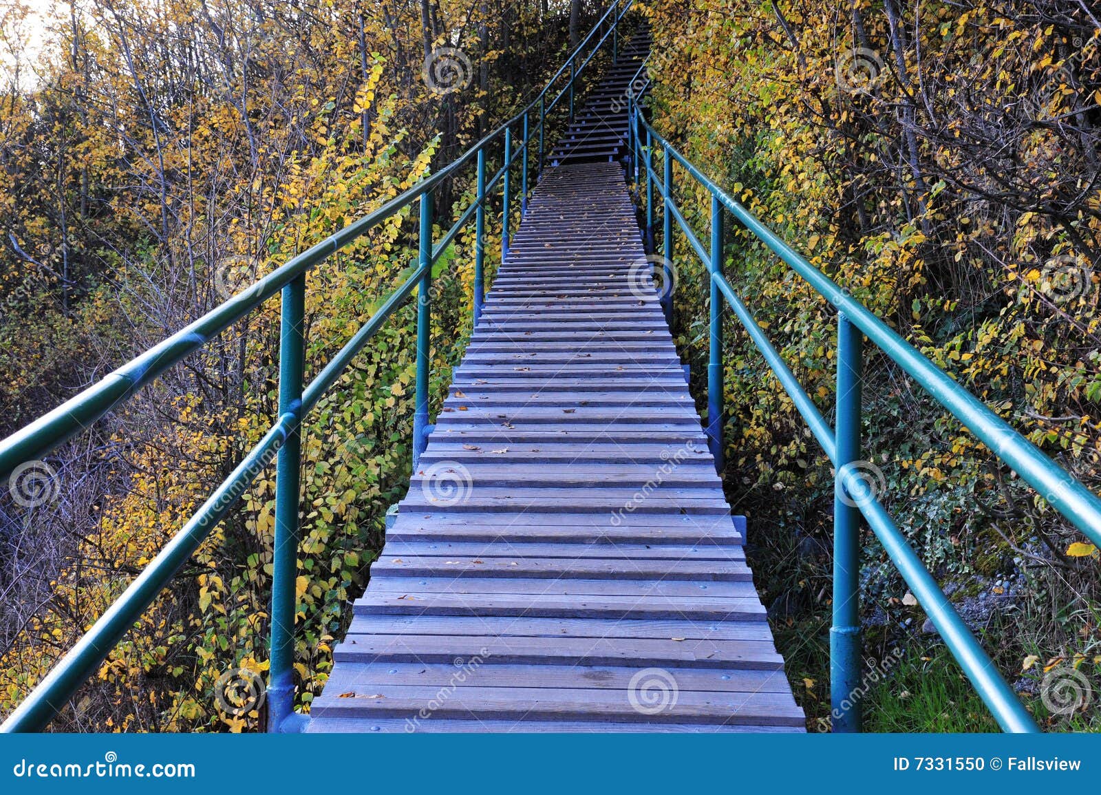 Stairway stock photo. Image of road, landscape, stairway - 7331550