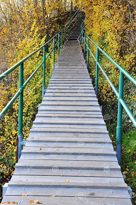 Stairway stock photo. Image of hike, british, steps, corridor - 7341786