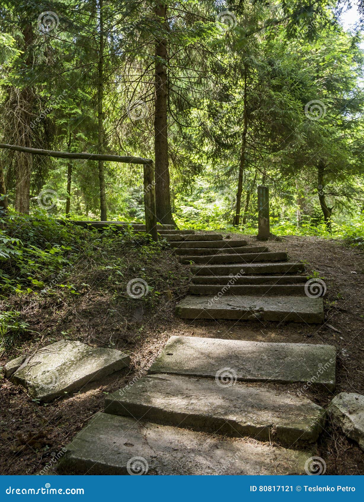 Stairway in forest stock image. Image of tourism, wilderness - 80817121