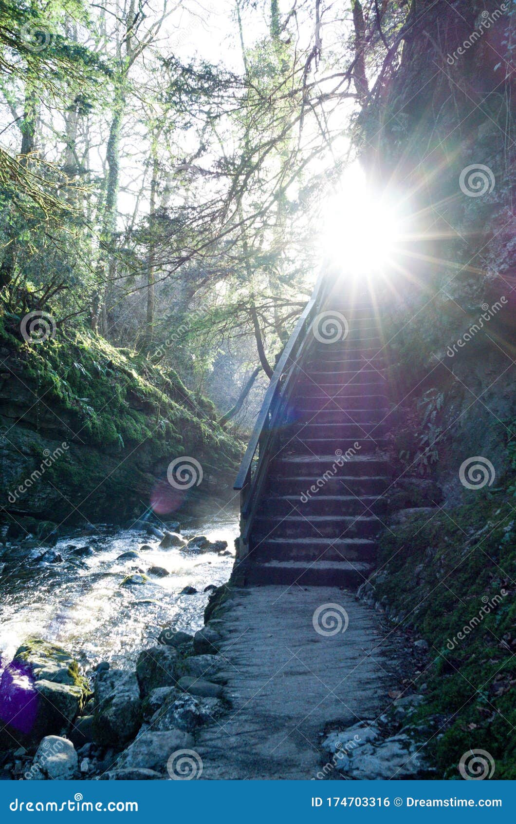 River Stairway stock photo. Image of path, mountains - 174703316