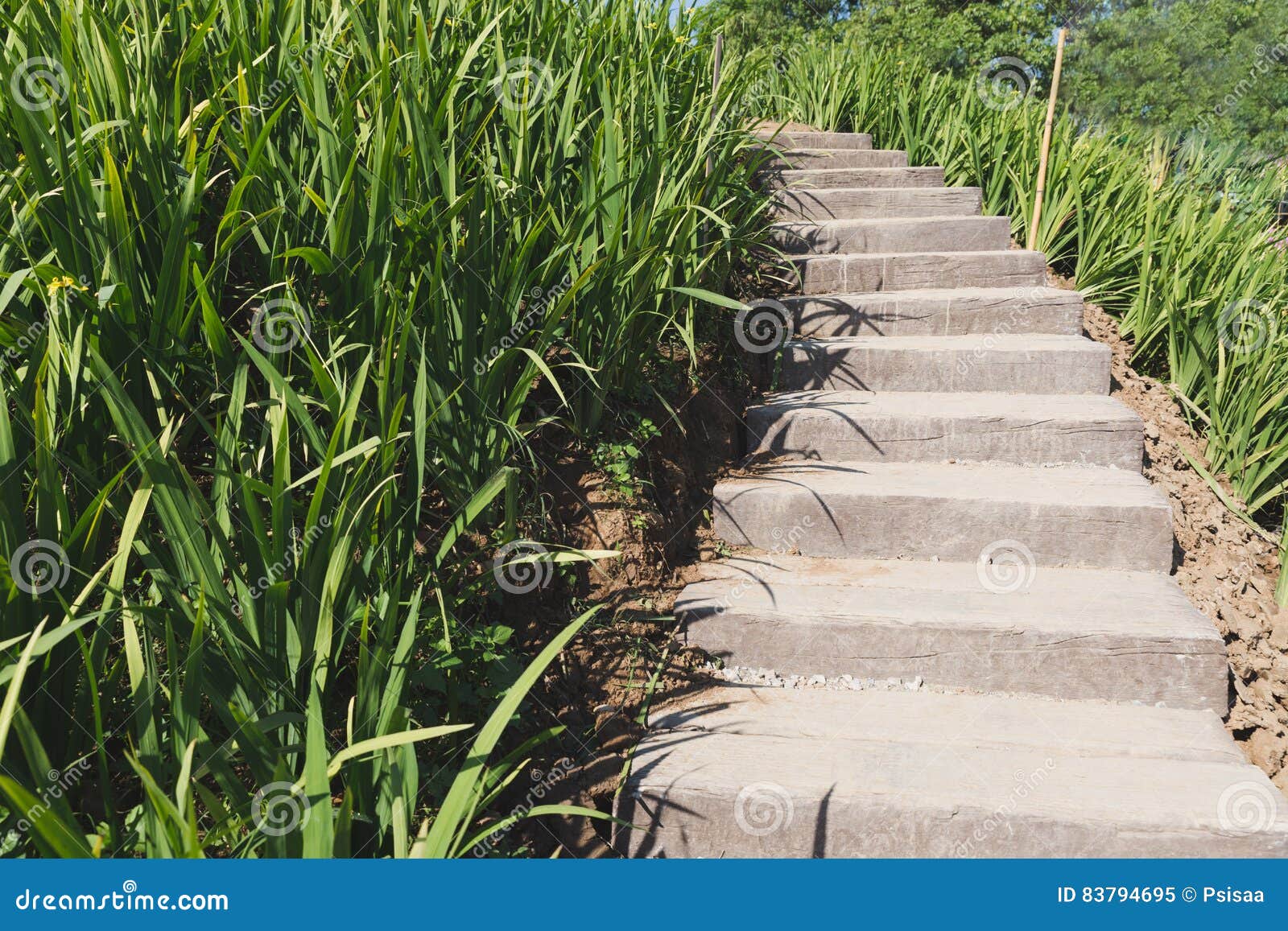 Stairway, Stairs Step and Bush in Garden Stock Image - Image of stair ...