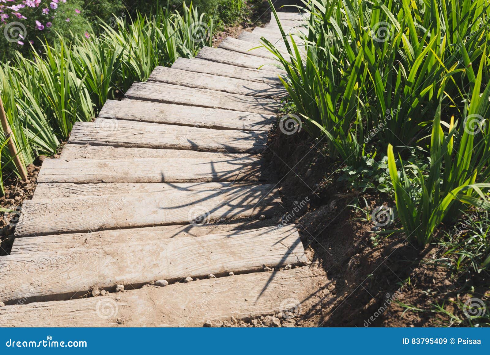 Stairway, Stairs Step and Bush in Garden Stock Image - Image of peace ...