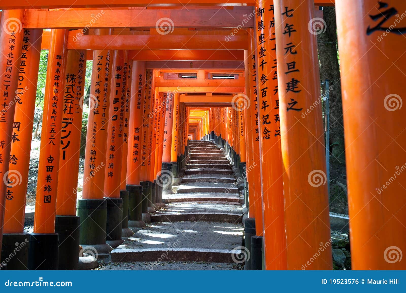 Toji Arches Stock Photos - Free & Royalty-Free Stock Photos from Dreamstime