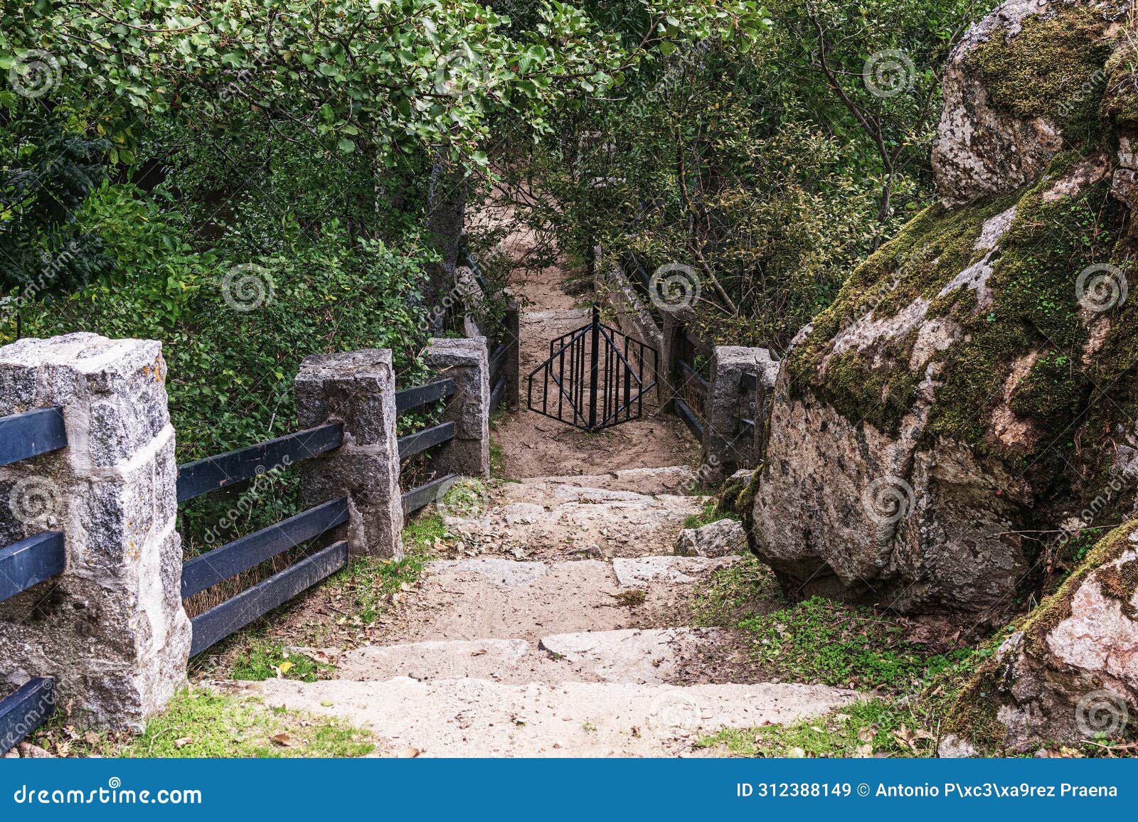 Stairway To the Heart of Nature Stock Image - Image of park, puerta ...