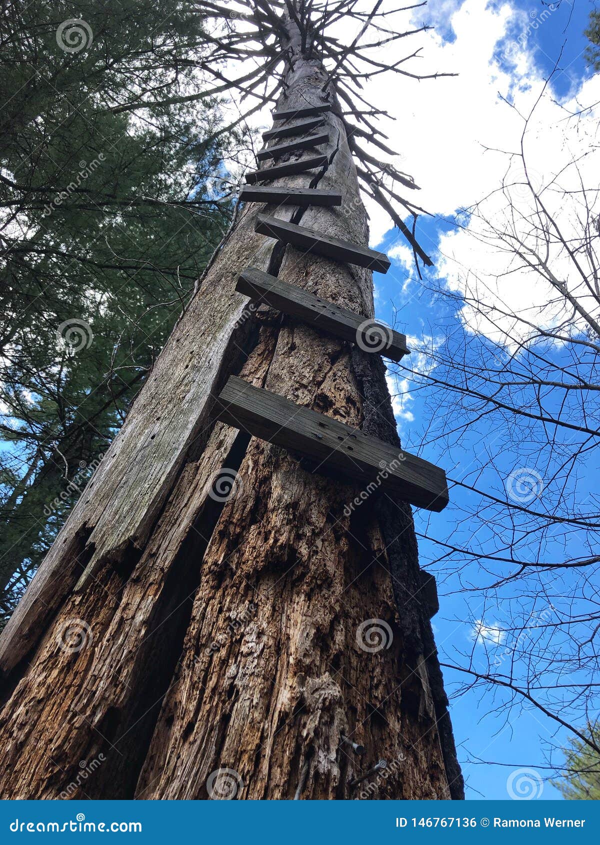 Stairway to heaven stock photo. Image of heaven, ladder - 146767136