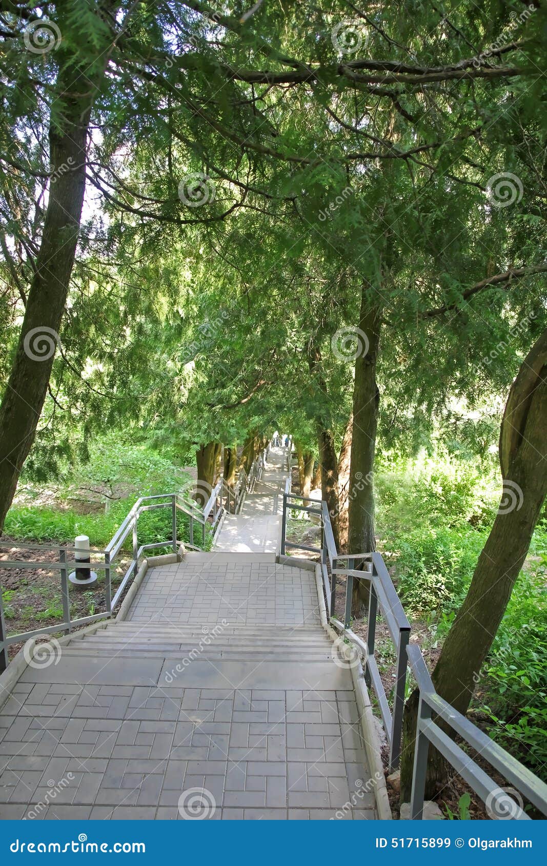 Stairway under trees stock image. Image of concepts, architecture ...