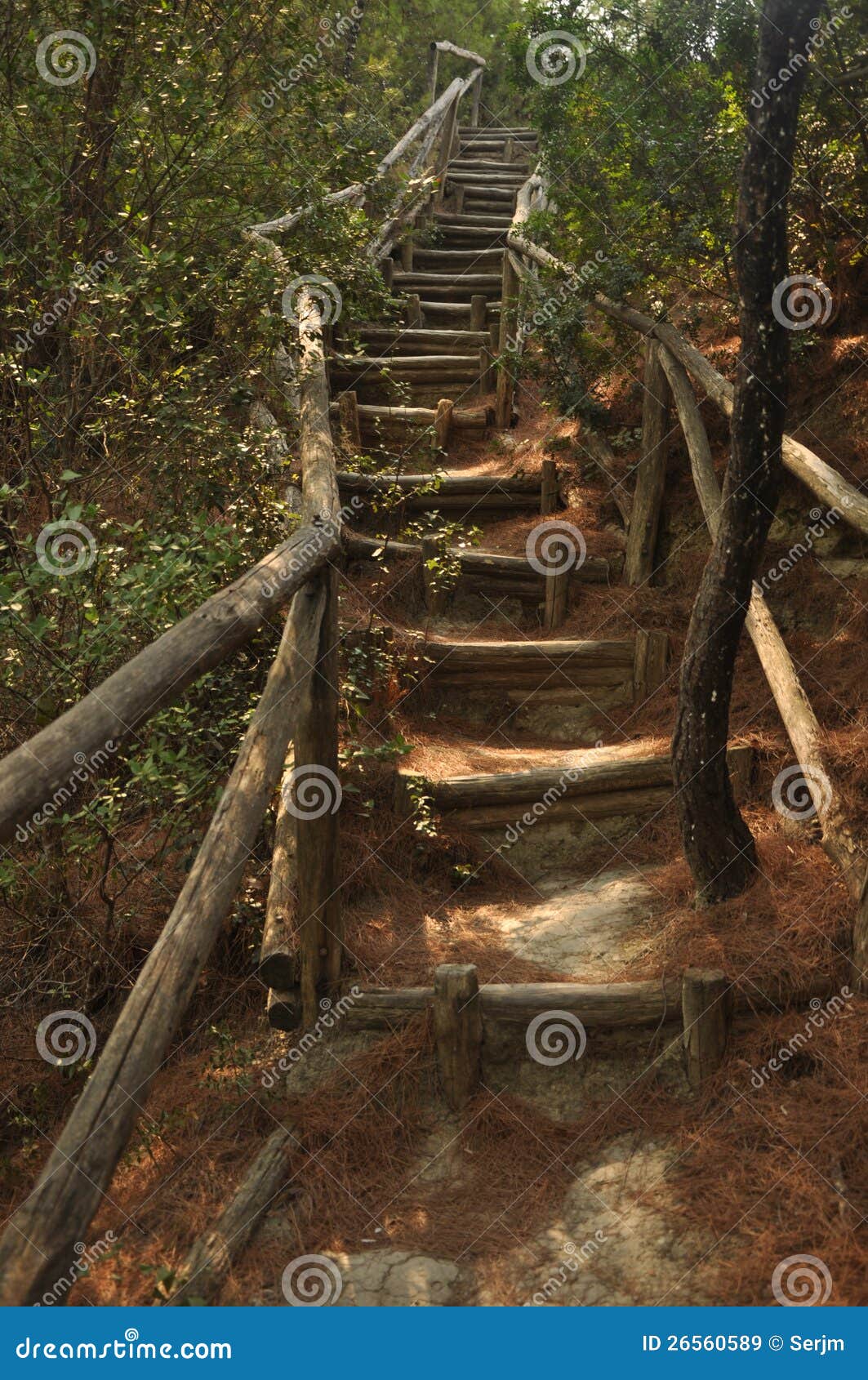 Stairway up the cliff stock image. Image of height, door - 26560589