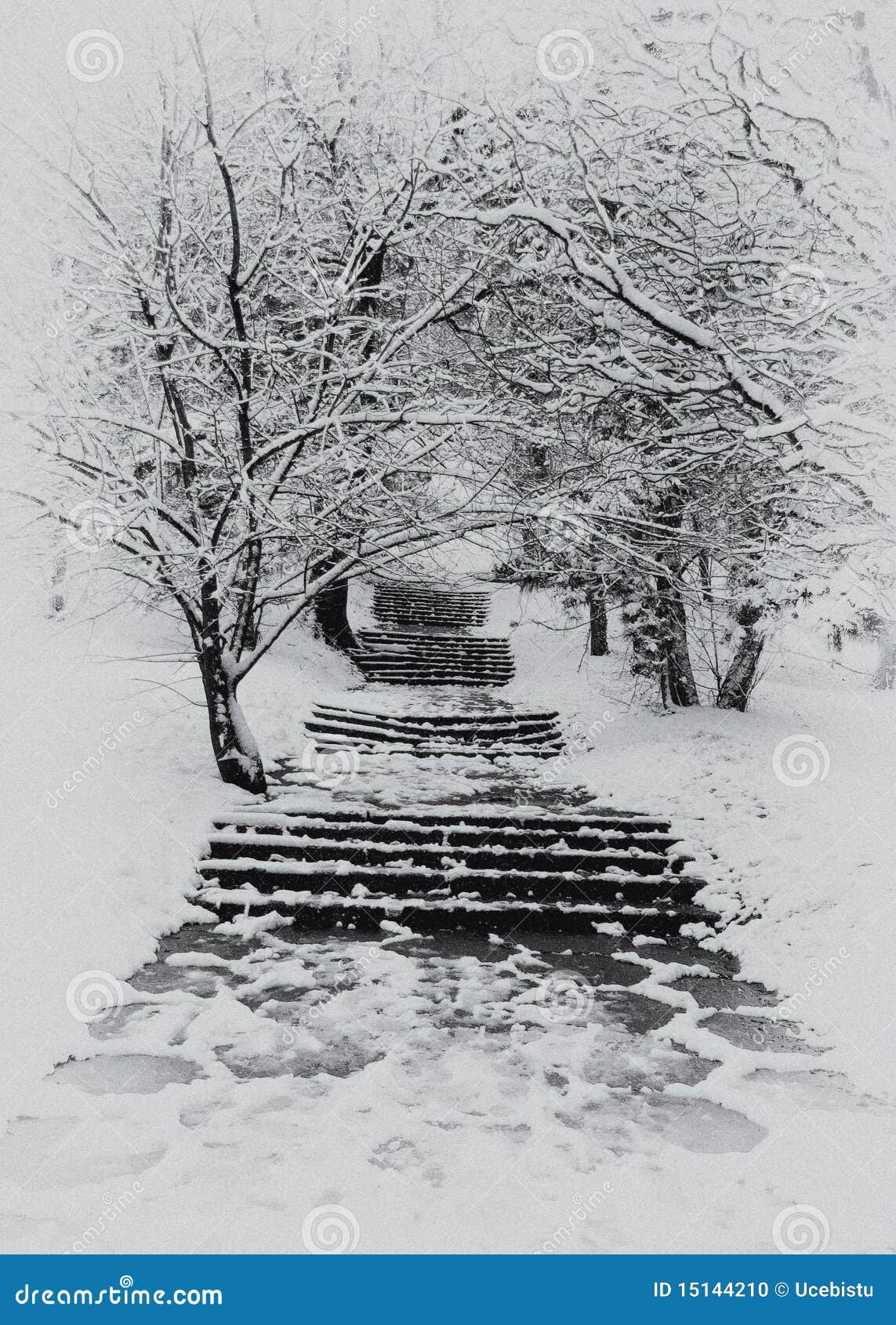 Stairway in winter stock photo. Image of stairs, frost - 15144210