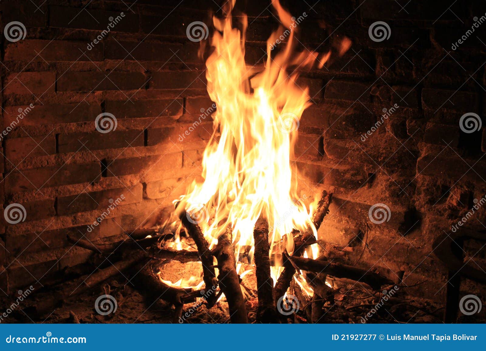 Stake stock image. Image of fireplace, logs, burn, flame - 21927277