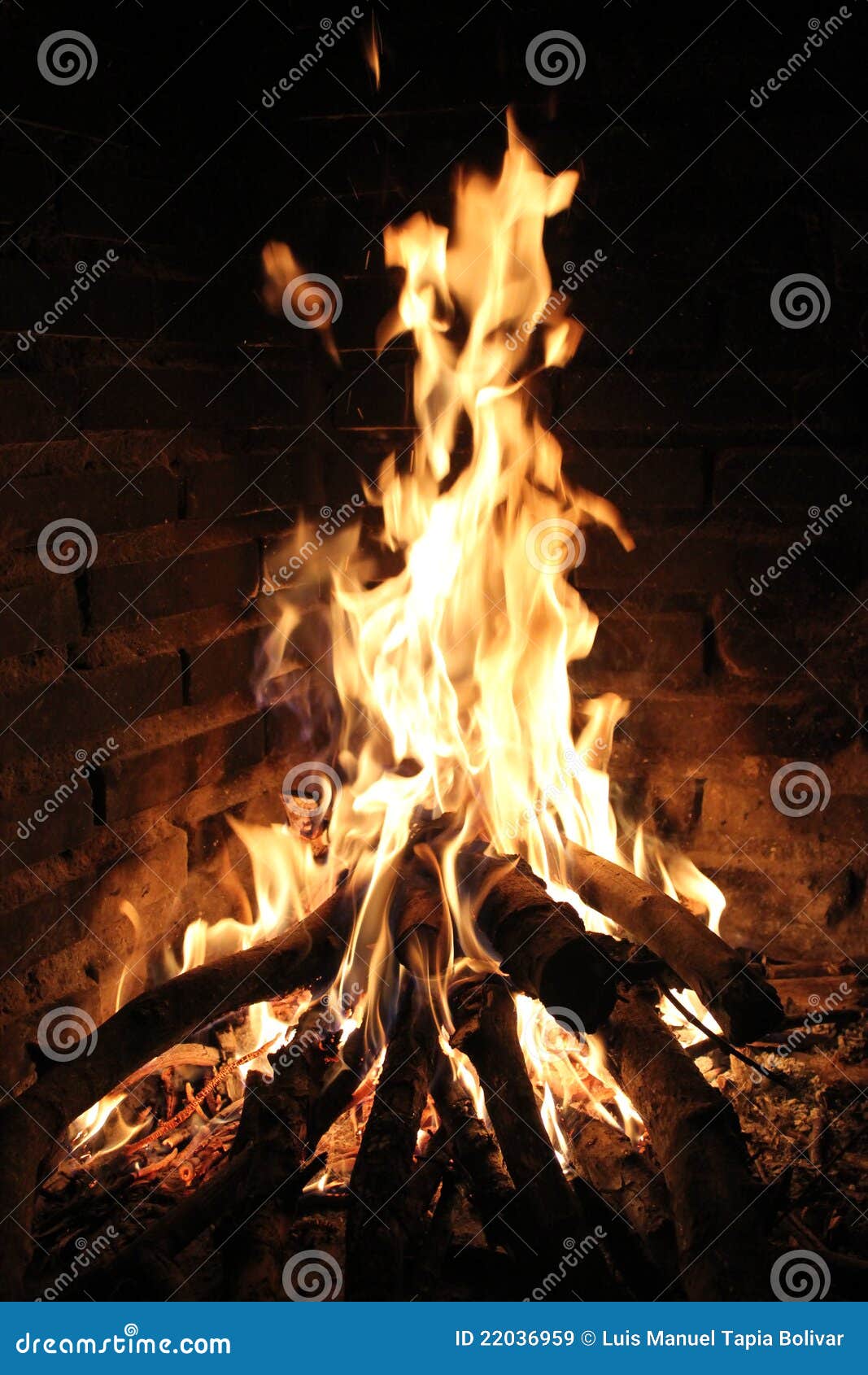 Stake stock image. Image of flame, food, barbecue, grill - 22036959
