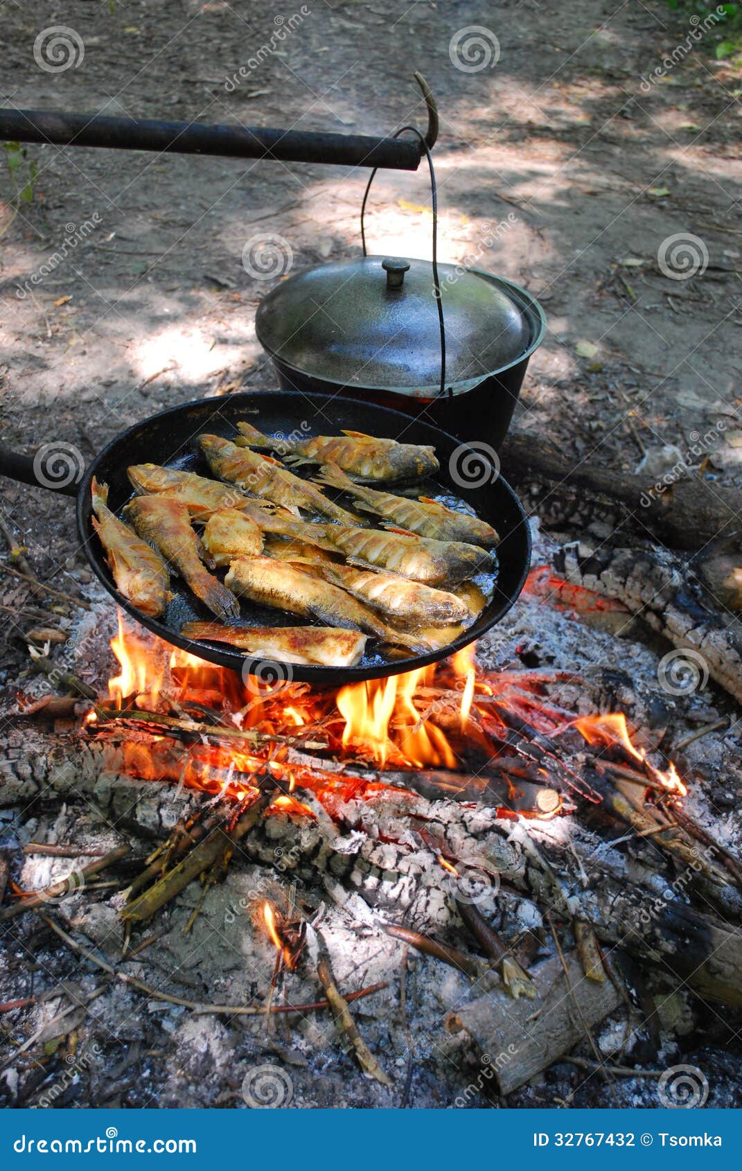 The Stake is Fried Fish in a Frying Pan and Some Heated Pot Stock Photo ...