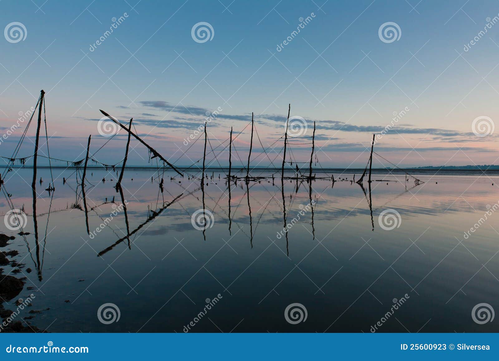 Stake Nets for Salmon Fishing in Scotland Stock Image - Image of ...