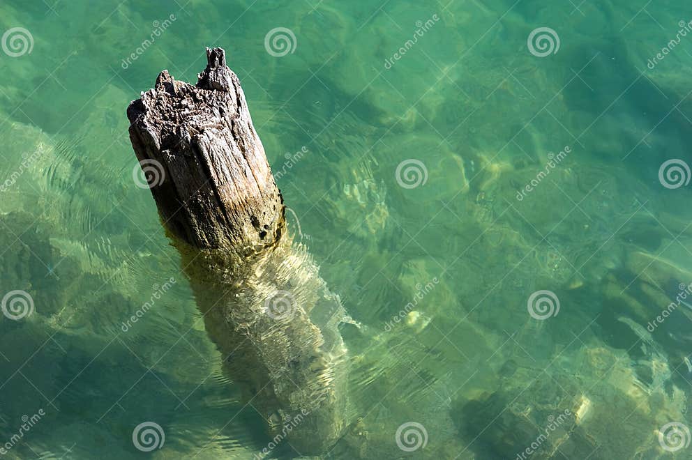 Stake in water stock image. Image of wood, bottom, turquoise - 21763919
