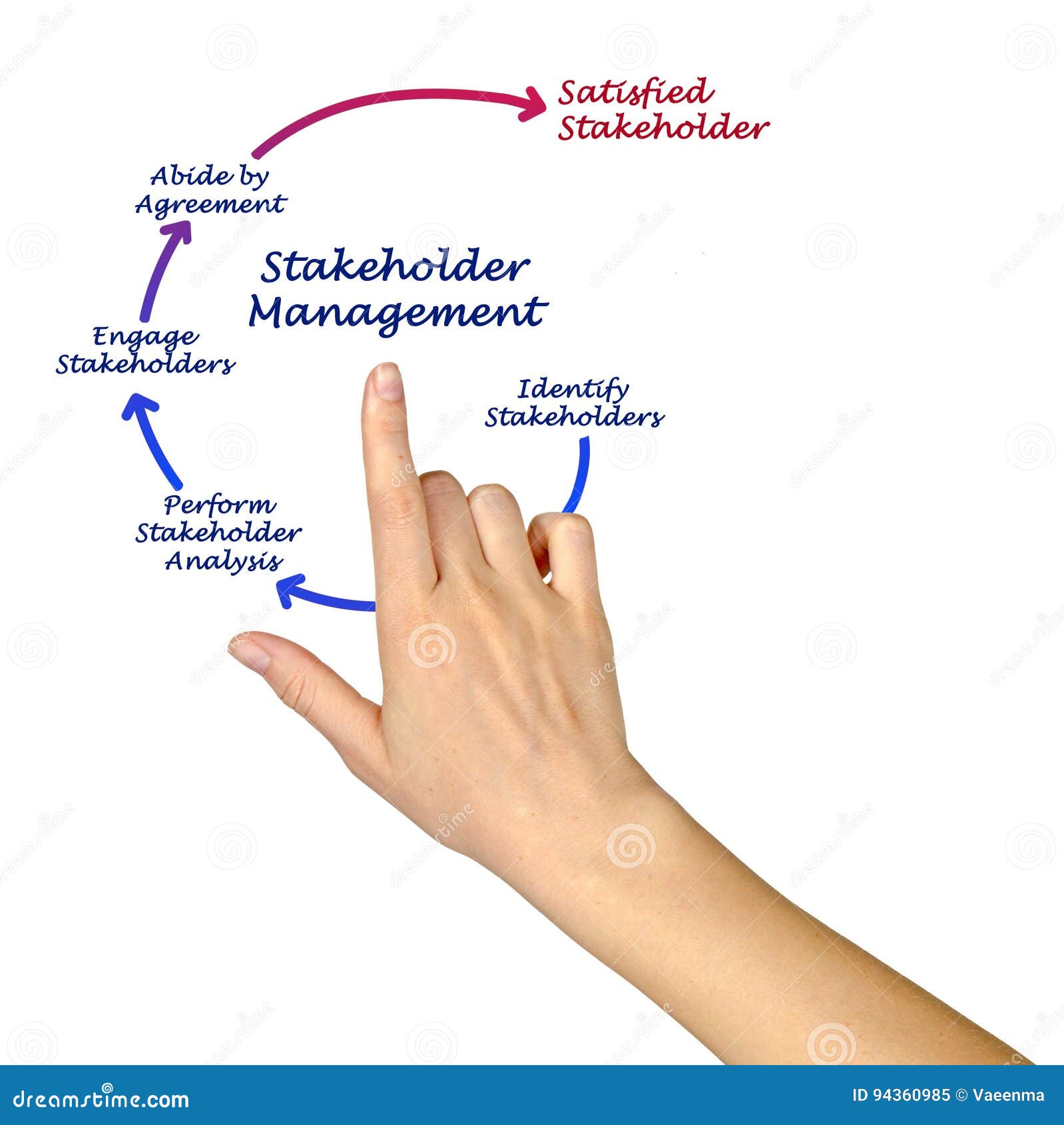 Diagram Of Stakeholder Analysis Stock Image | CartoonDealer.com #117564661