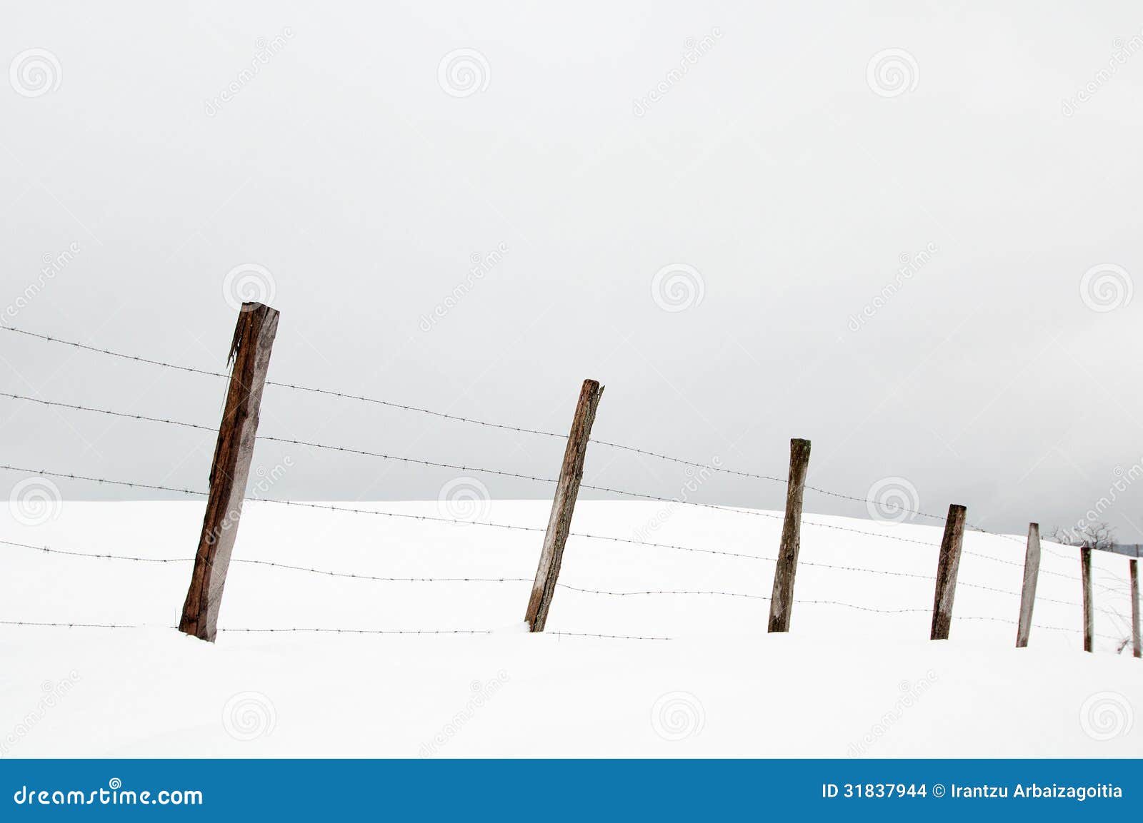 Stakes and Barbed Wire in the Snowy Meadows Stock Photo - Image of snow ...
