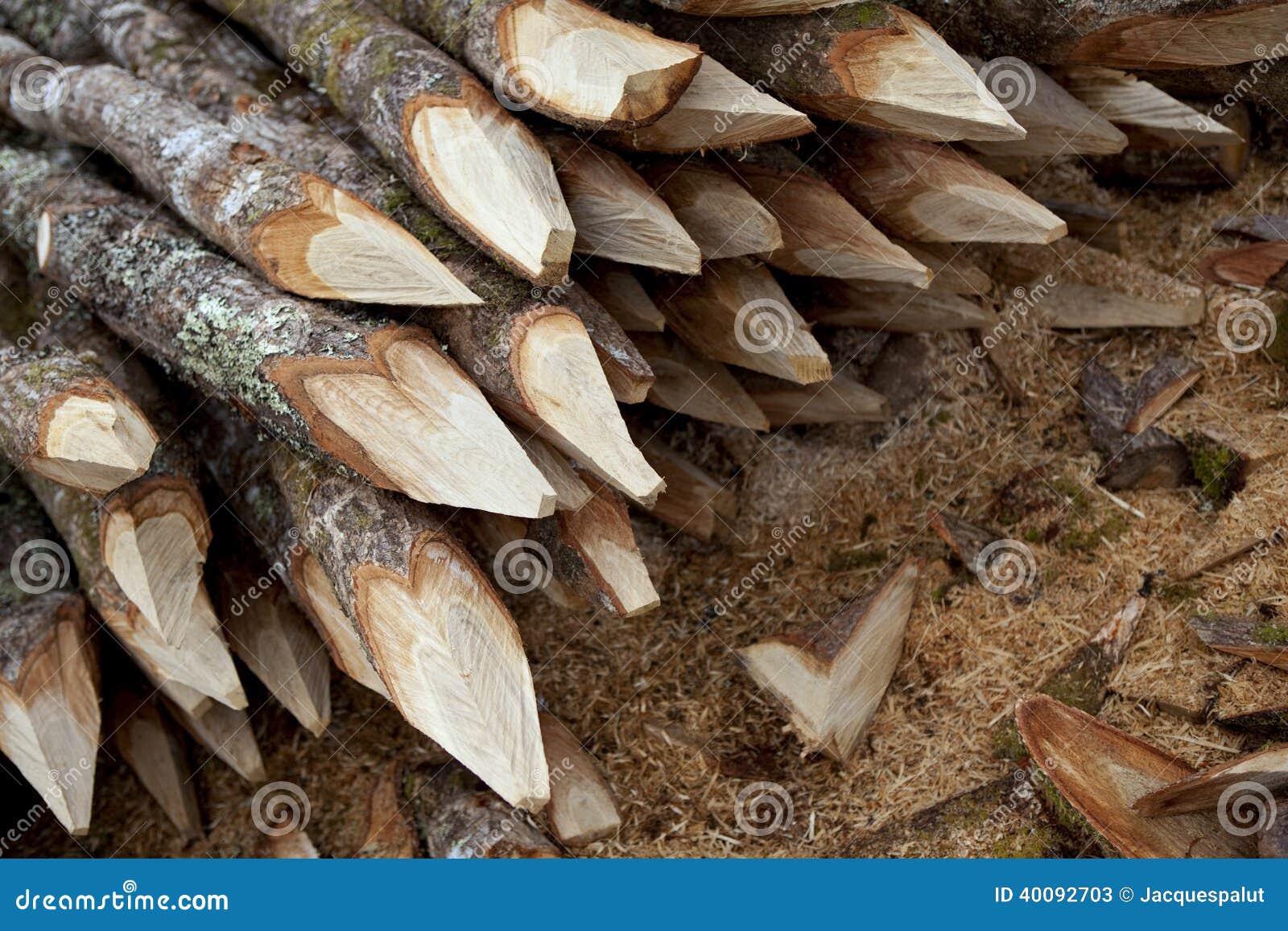 Stakes stock image. Image of bark, wooden, storage, nature - 40092703