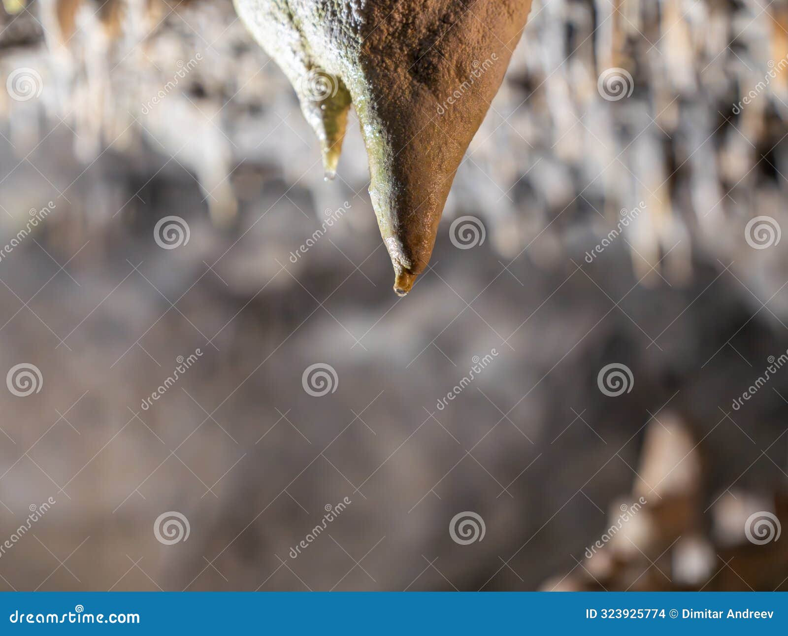 Stalactite Forming, Dripping Water Droplet, Cave Formation Stock Photo ...